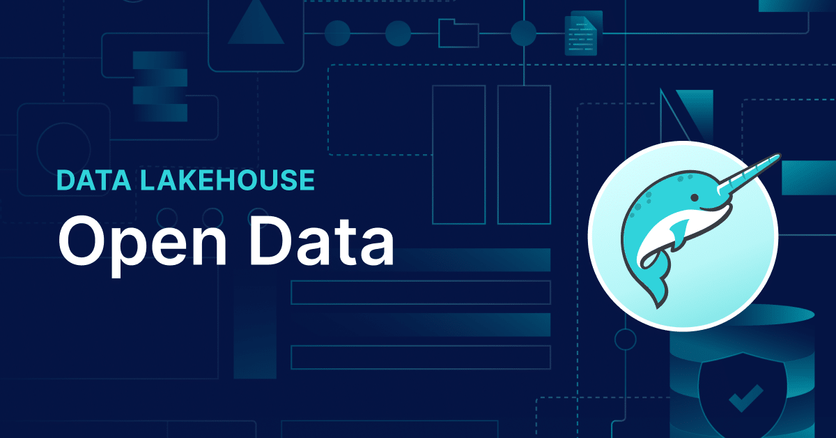 Understanding Open Data in a Data Lakehouse: Key Benefits and Use